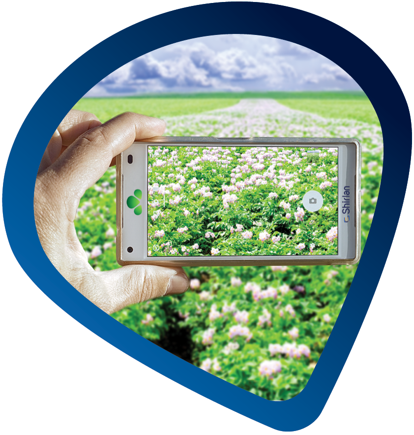 Shirlan – Belchim Crop Protection